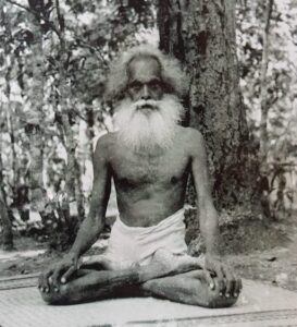 Shivapuri Baba Samadhi, Pashupatinath, Kathmandu, Nepal - Sannidhi The ...