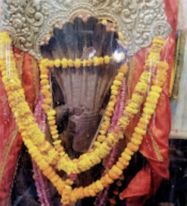 Shri Naag Vasuki Mandir, Daraganj, Prayagraj, Uttar Pradesh - Sannidhi ...