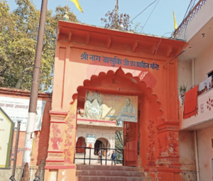 Shri Naag Vasuki Mandir, Daraganj, Prayagraj, Uttar Pradesh - Sannidhi ...