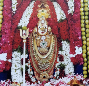 Sri Bhramaramba Ammavari Shaktipeeth, Srisailam, Andhra Pradesh ...
